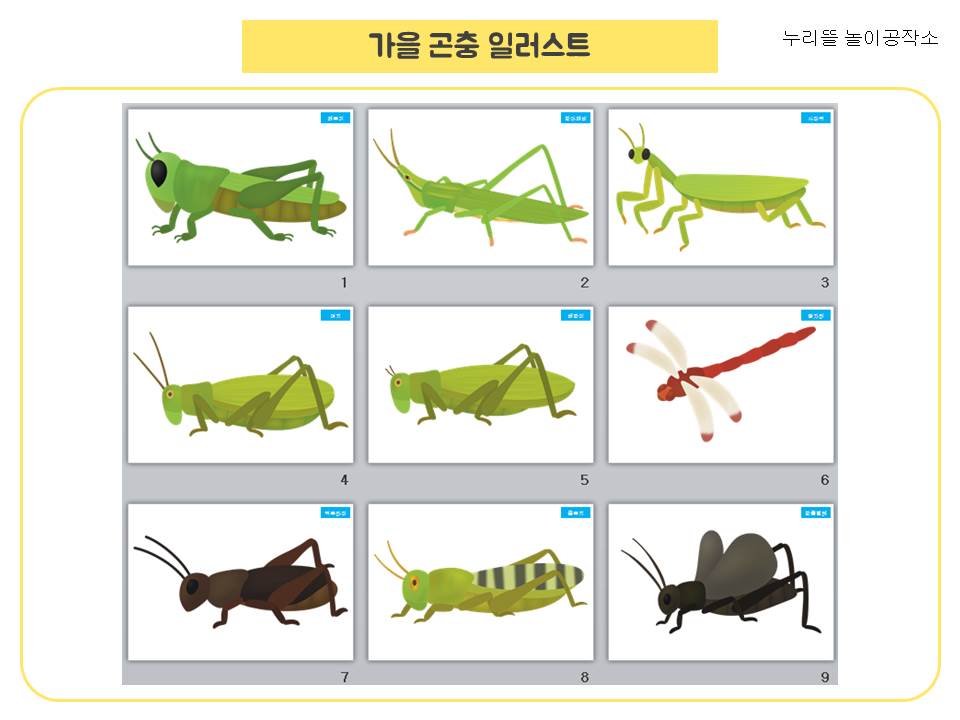 일러스트 가을 곤충